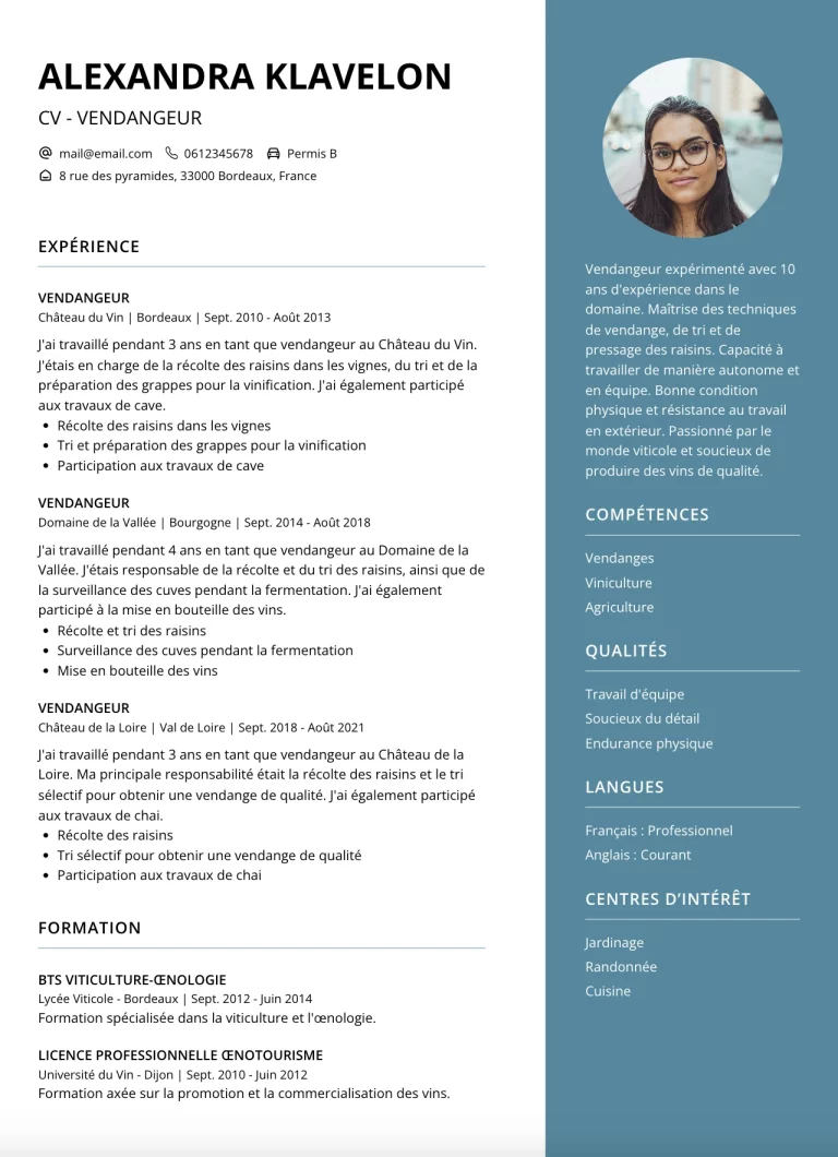 CV Vendangeur : Modèle + Exemples à télécharger | Gratuit